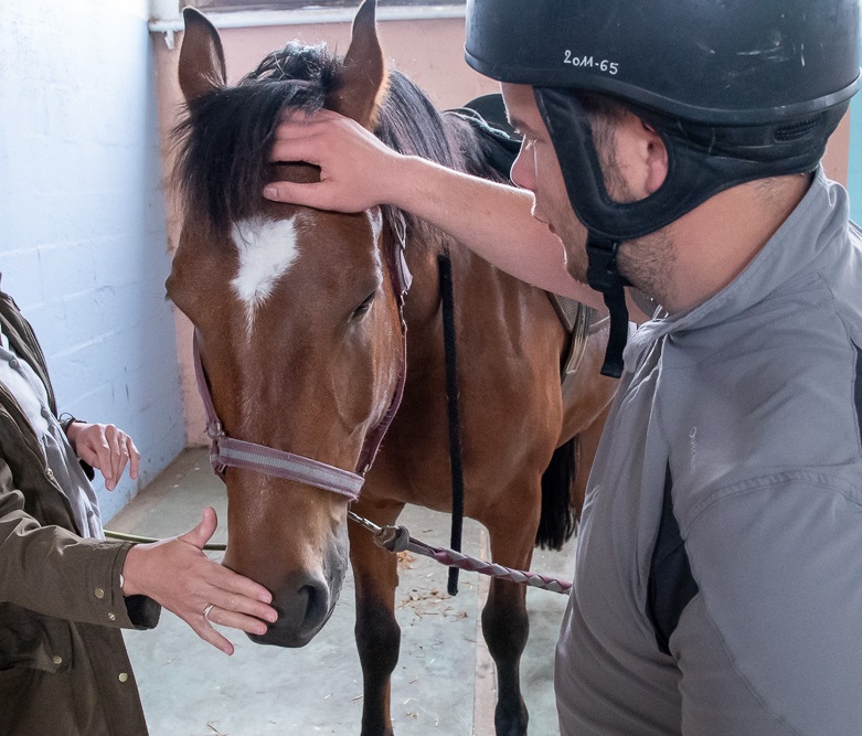 Equithérapie : quand le cheval soigne au CH Laborit – Centre ...